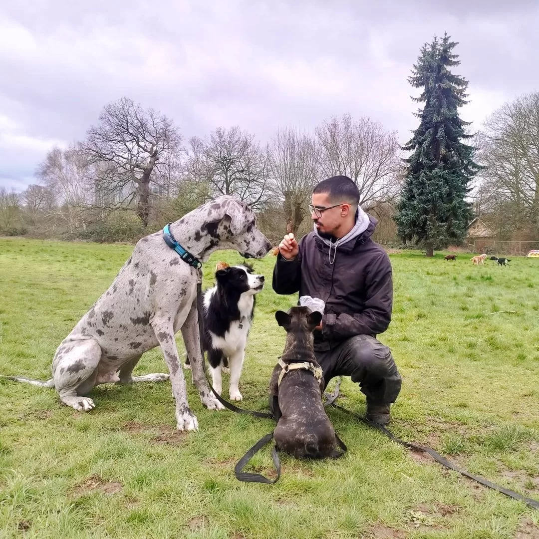 Check out our Blog - Pawsitive Tribe